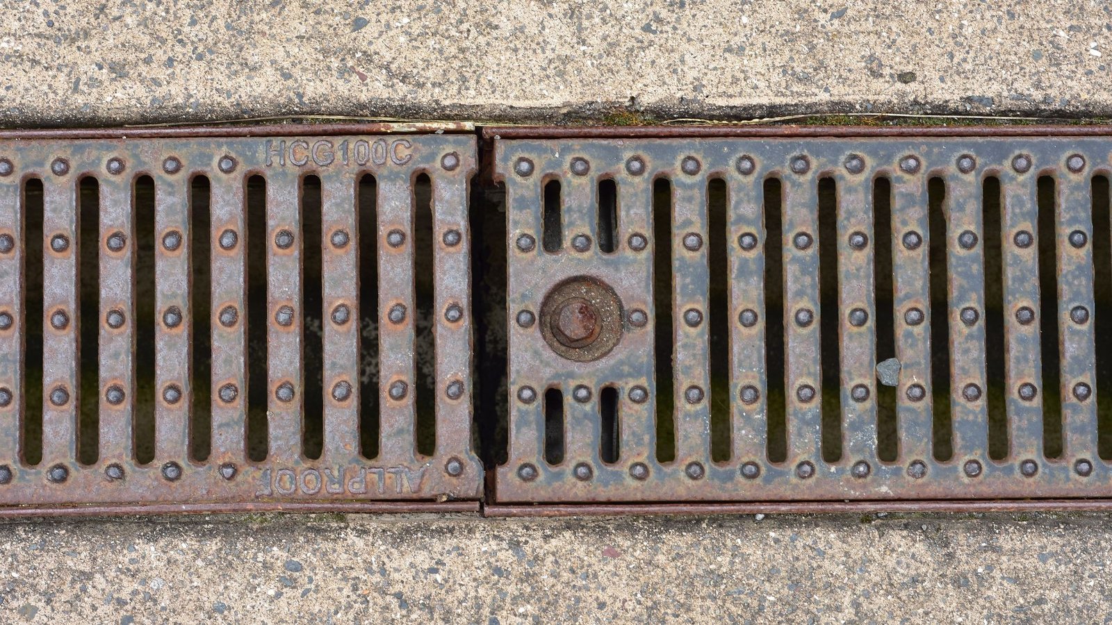Ultimate Guide To Stormwater Drainage NZ