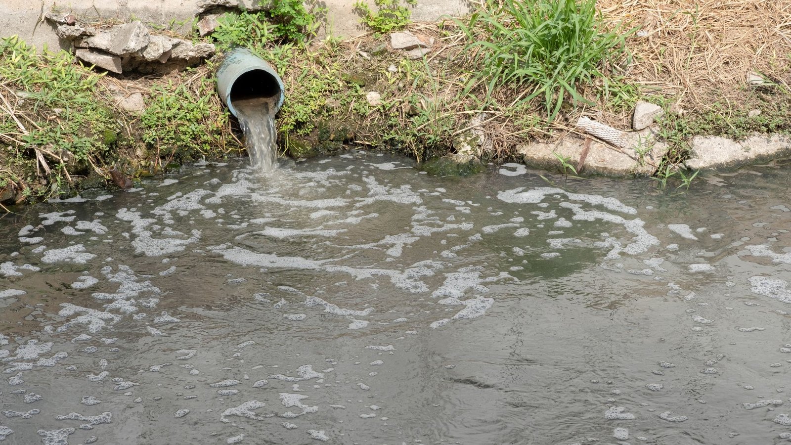 Ultimate Guide To Stormwater Drainage NZ