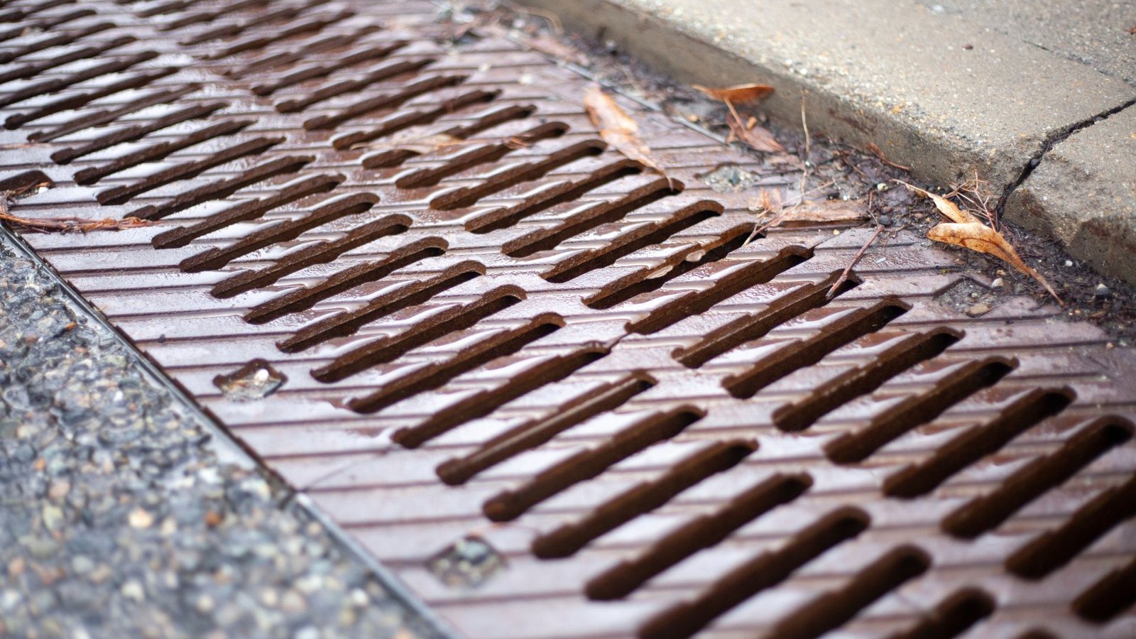 Ultimate Guide To Stormwater Drainage NZ